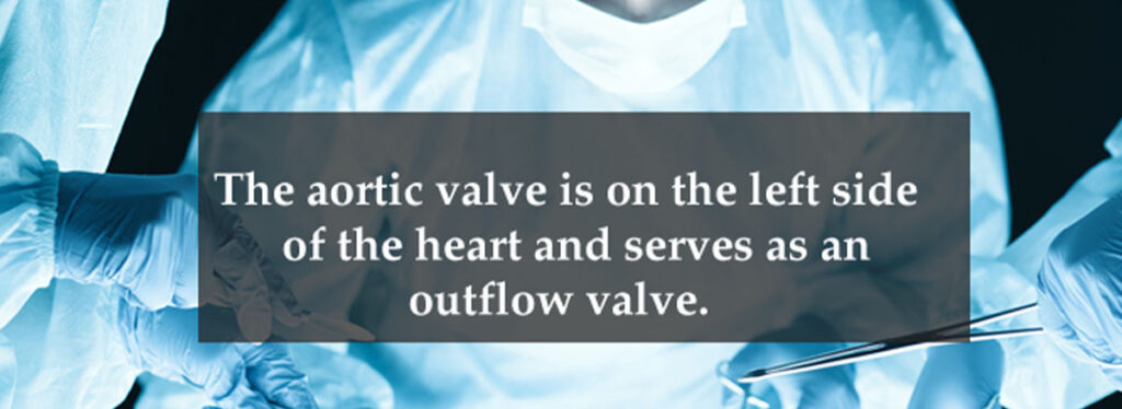 Aortic Valve Replacement - drkanase.in